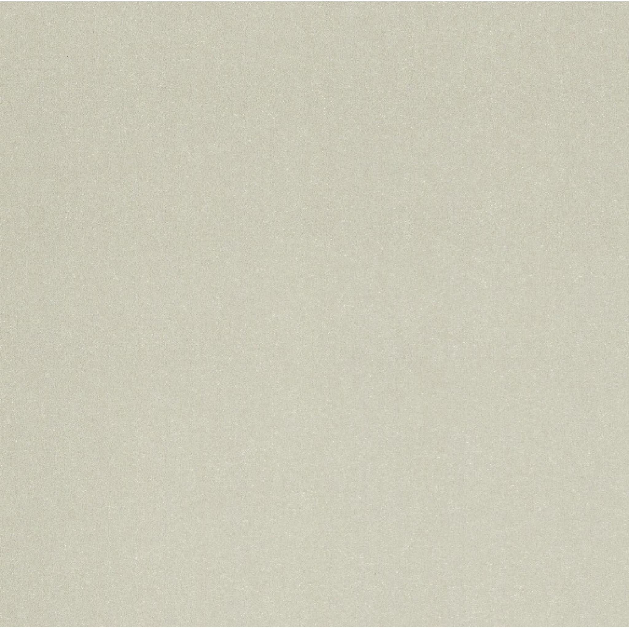 Silver Bathroom & Shower Wall Panel