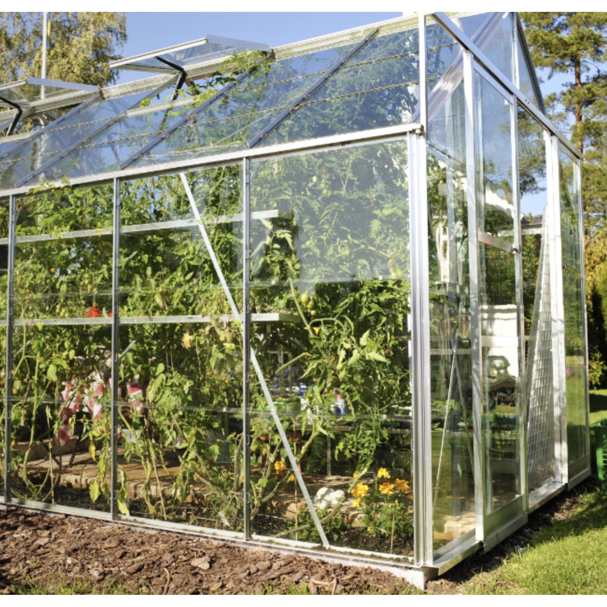 3mm Greenhouse Polycarbonate Pane | Greenhouse Glass